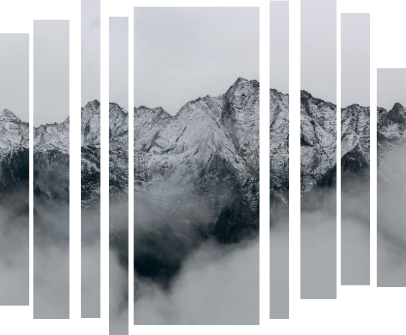 DIALED IN Workbook – Sea Change Learning